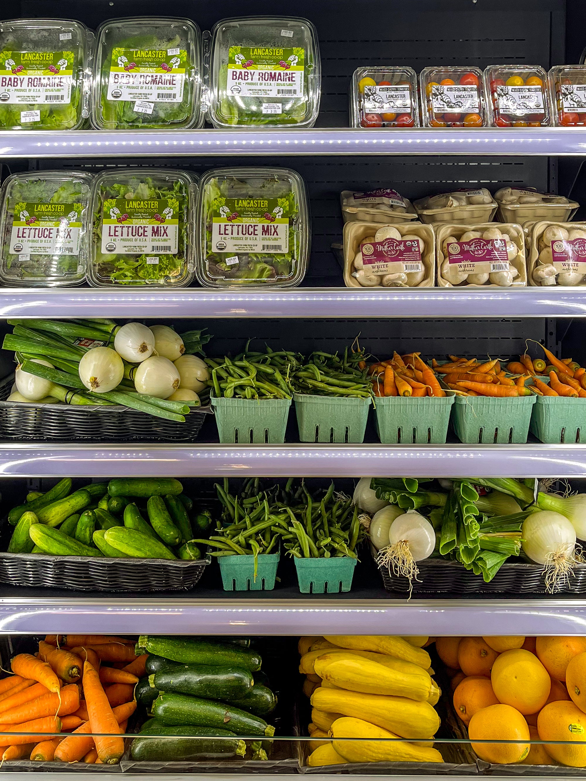 Akron Nutrition Store – Akron Nutrition Center